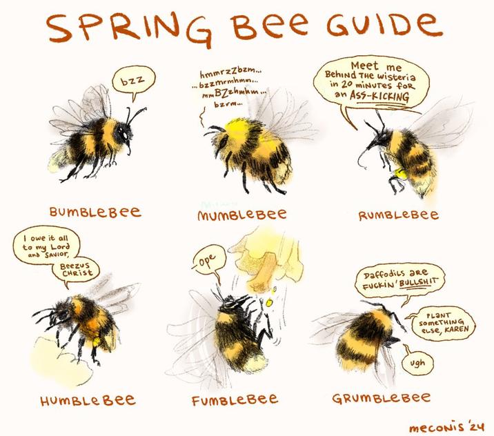Spring Bee Guide | Bees | Know Your Meme