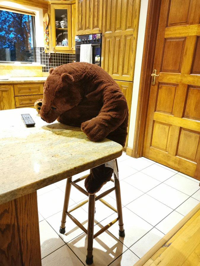 Djungelskog bear meme | IKEA DJUNGELSKOG Bear | Know Your Meme