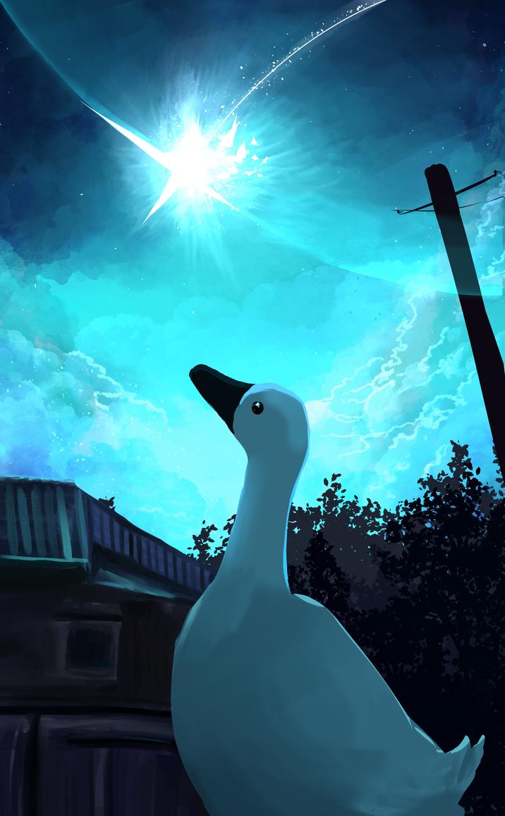 fanart | Ducks Looking Up At A Meteor | Know Your Meme