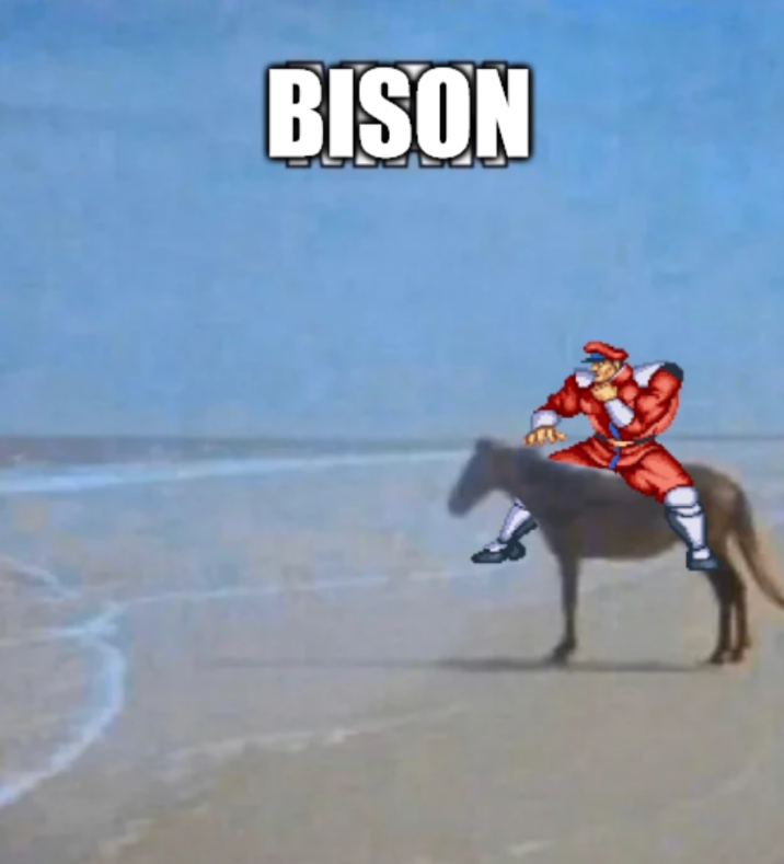 Bison | Street Fighter | Know Your Meme