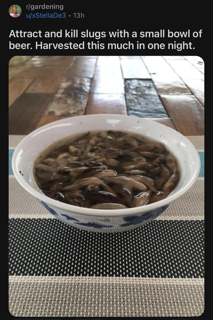 25 Dreadful Creations No One Should Want | Know Your Meme