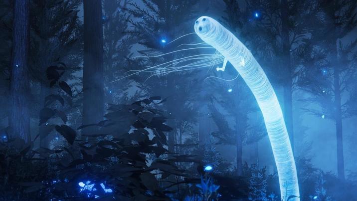 Glowy Worm guy won't attack unless you attack it. | Elden Ring | Know ...