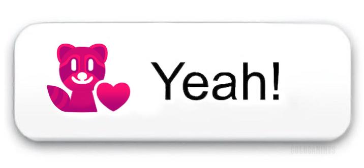 Raccoon Yeah! | Miiverse Yeah! | Know Your Meme