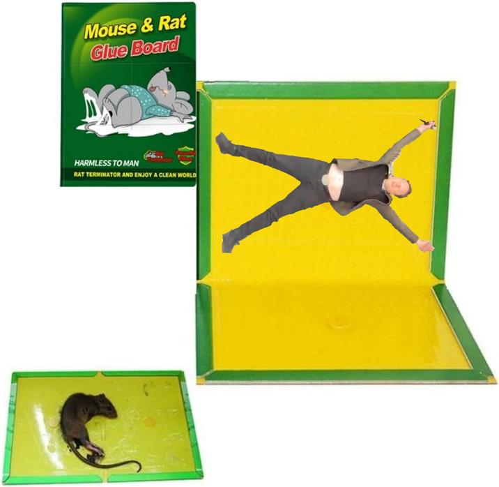 Elon Musk glued to Mouse & Rat Glue Board | Know Your Meme