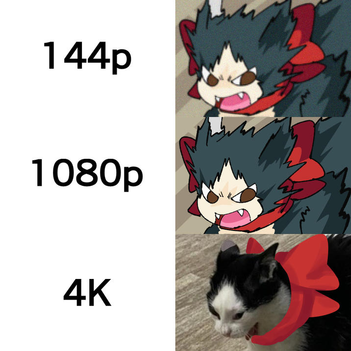4k cat | Izutsumi | Know Your Meme