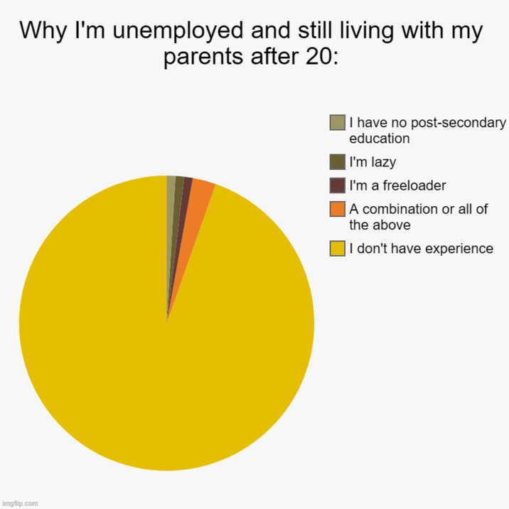 Entry Level 2 Years Of Experience Required Know Your Meme