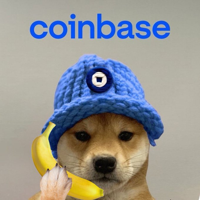 Dogwifcat Calling Coinbase | Dogwifhat (Meme Coin) | Know Your Meme