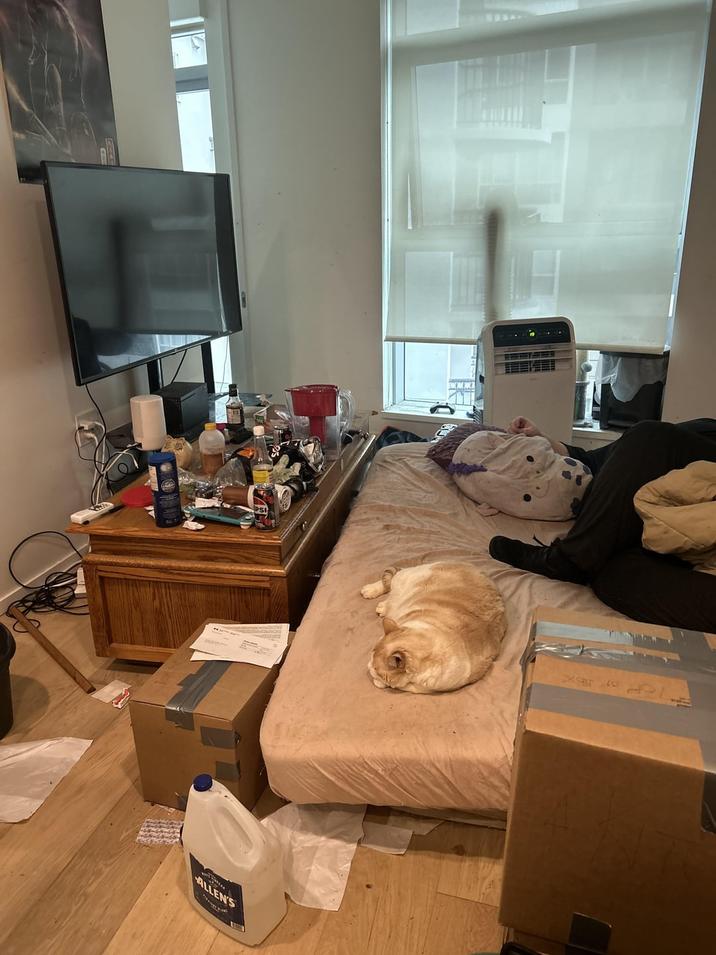 24 Outrageous Examples That Show Living With Bad Roommates Could Be A ...