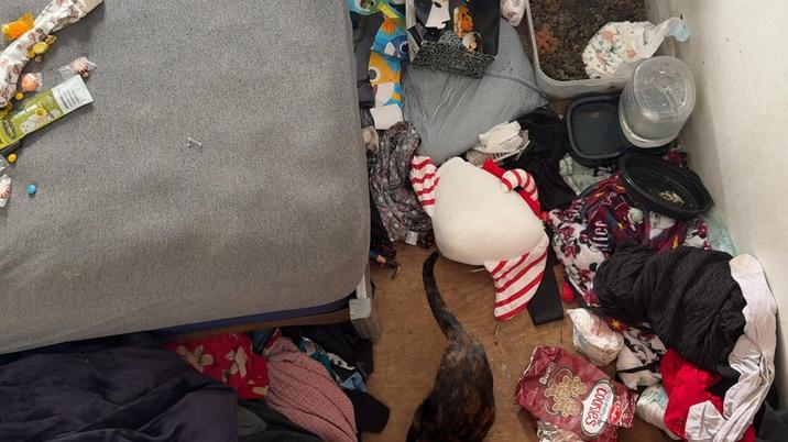 24 Outrageous Examples That Show Living With Bad Roommates Could Be A ...