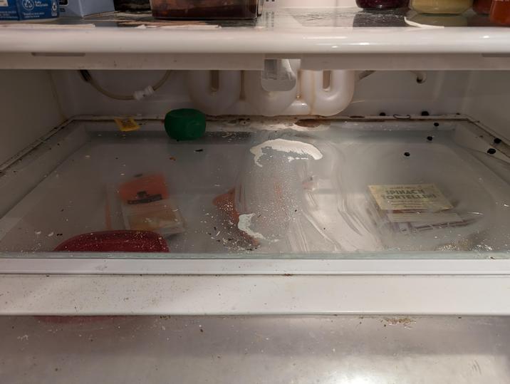 24 Outrageous Examples That Show Living With Bad Roommates Could Be A ...