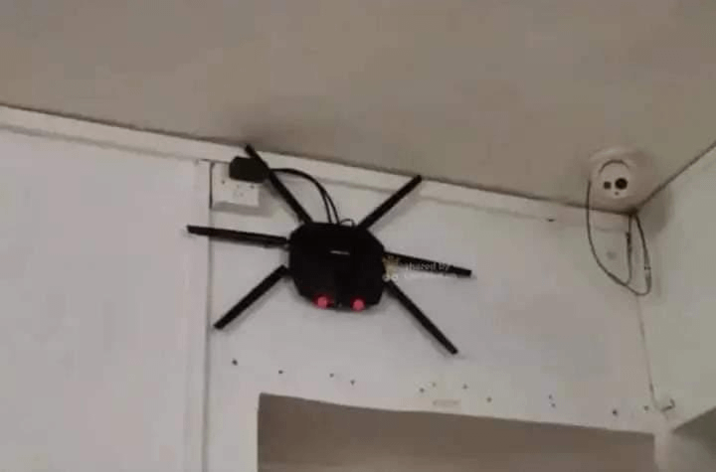 25 Incredibly Blursed Images That Are An Emotional Rollercoaster | Know ...