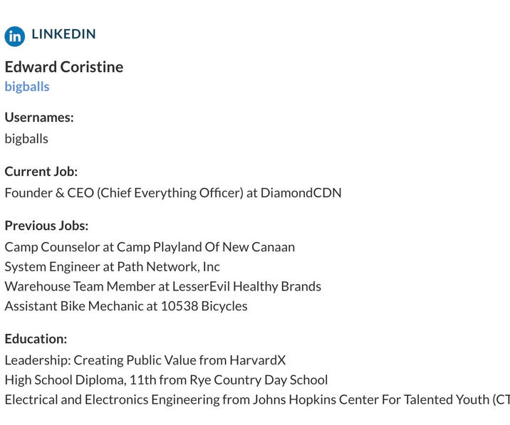 Edward "bigballs" Coristine LinkedIn Profile | Know Your Meme