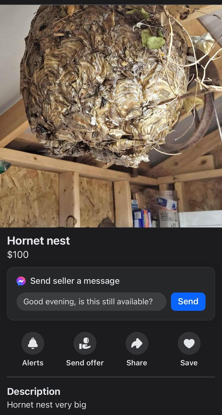 26 Strange Classifieds And Items For Sale Online | Know Your Meme