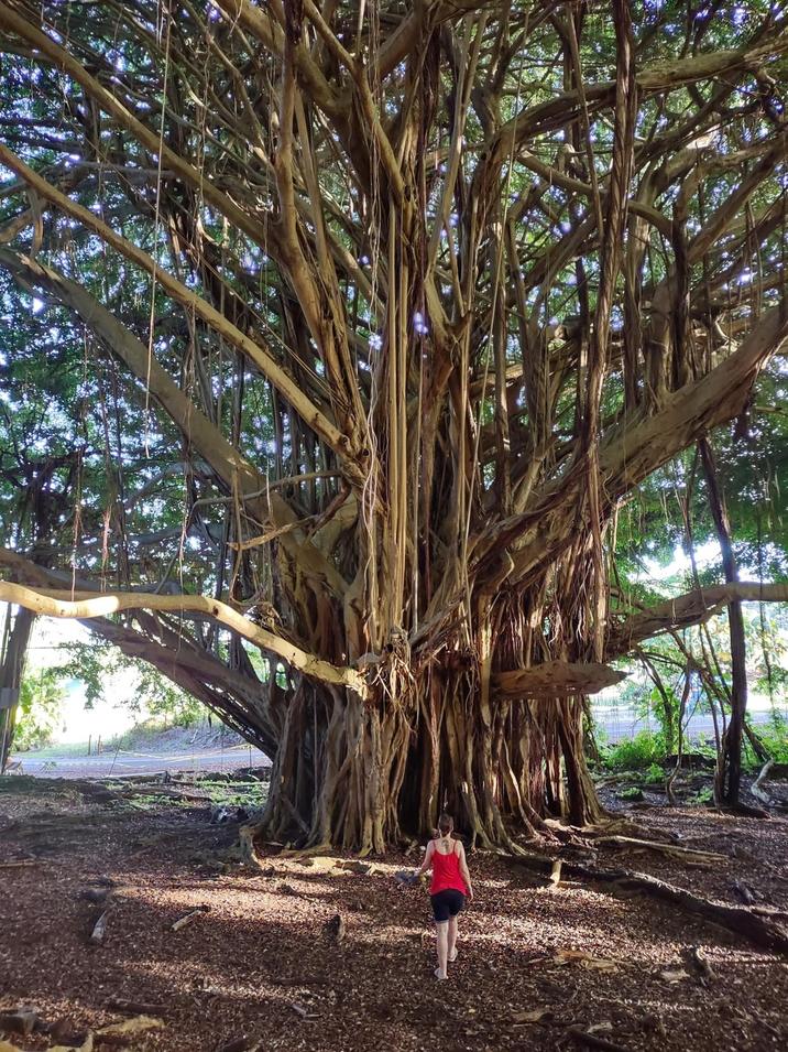 25 Pictures Of Colossal Things Where Humans Are Only For Scale | Know ...