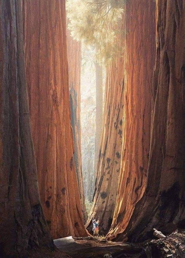 25 Pictures Of Colossal Things Where Humans Are Only For Scale | Know ...