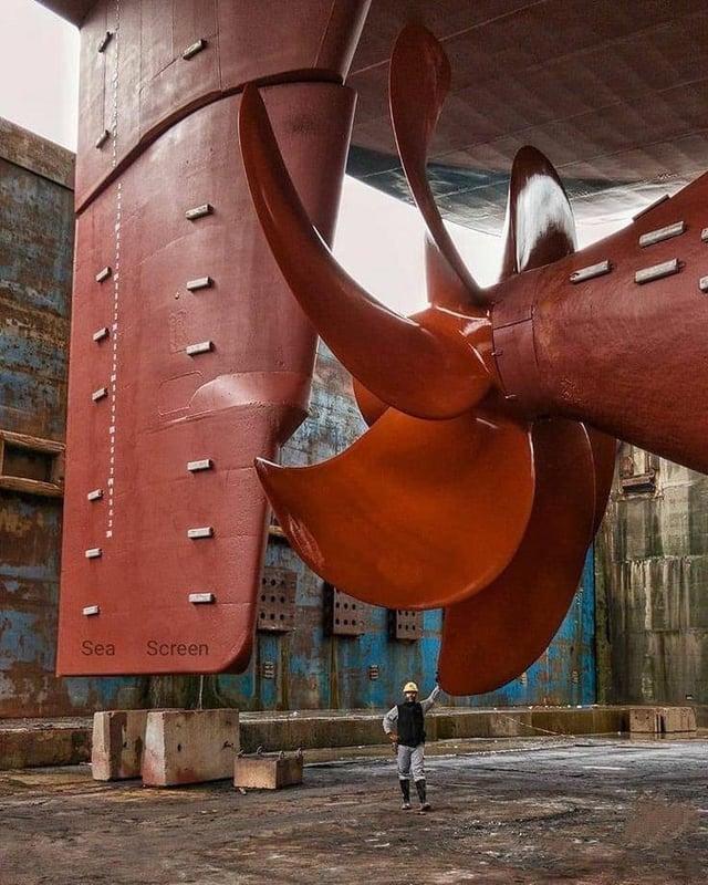 25 Pictures Of Colossal Things Where Humans Are Only For Scale | Know ...