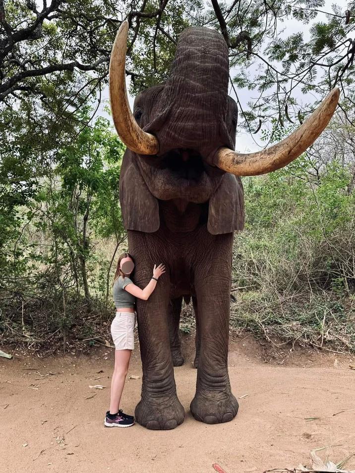 25 Pictures Of Colossal Things Where Humans Are Only For Scale | Know ...
