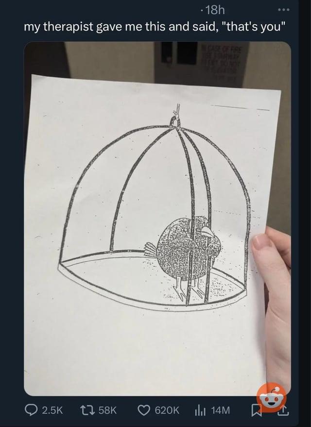 25 Influential Photos That Are Kind Of Shallow | Know Your Meme