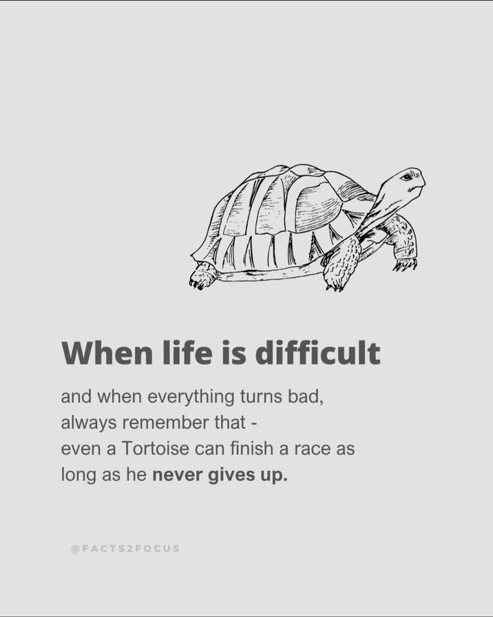 25 Influential Photos That Are Kind Of Shallow | Know Your Meme