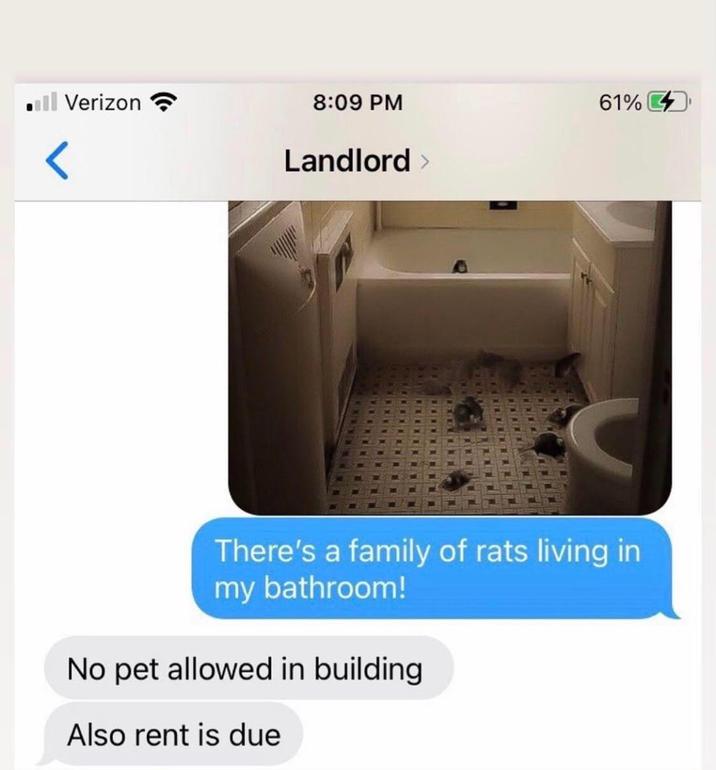 25 Too-Real Memes Everyone Is Feeling Right Now | Know Your Meme