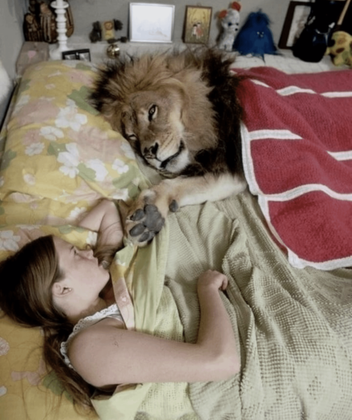 25 Daring Photos That Might Make You Feel A Little Nervous | Know Your Meme