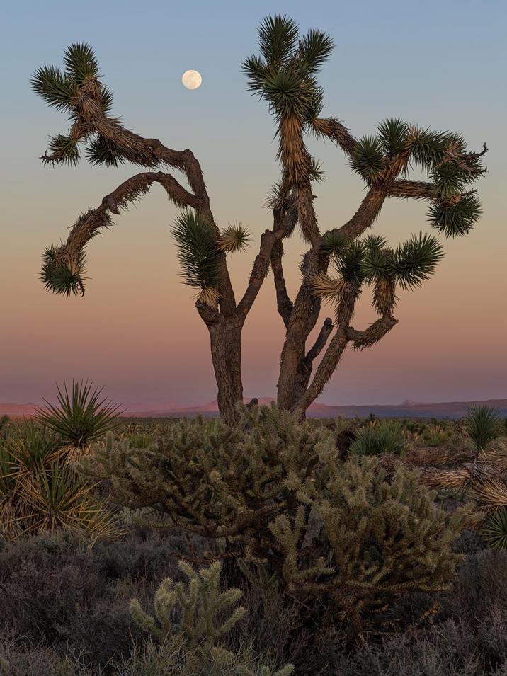 25 Beautiful Scenes From Travel Destinations Around The World | Know ...