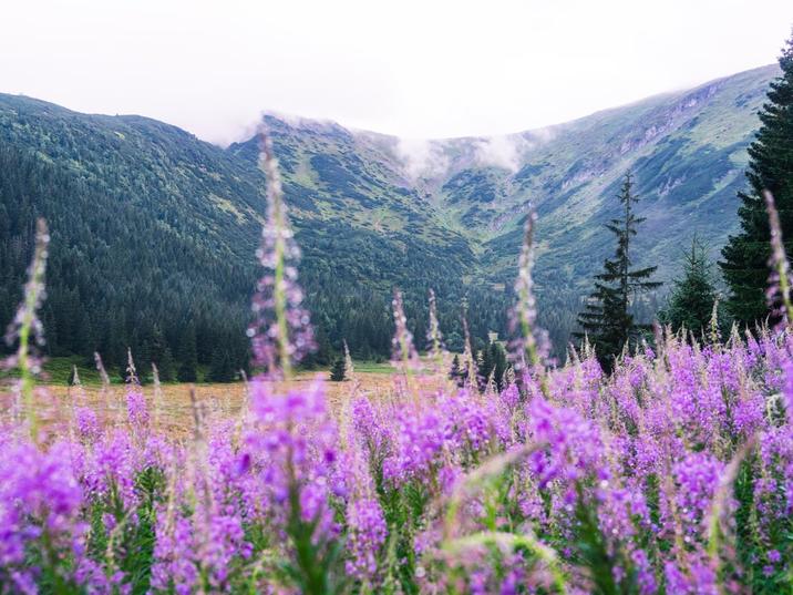 25 Beautiful Scenes From Travel Destinations Around The World | Know ...