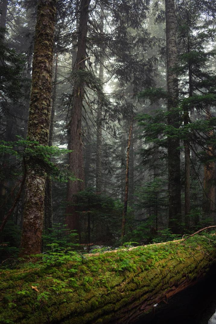 25 Beautiful Scenes From Travel Destinations Around The World | Know ...