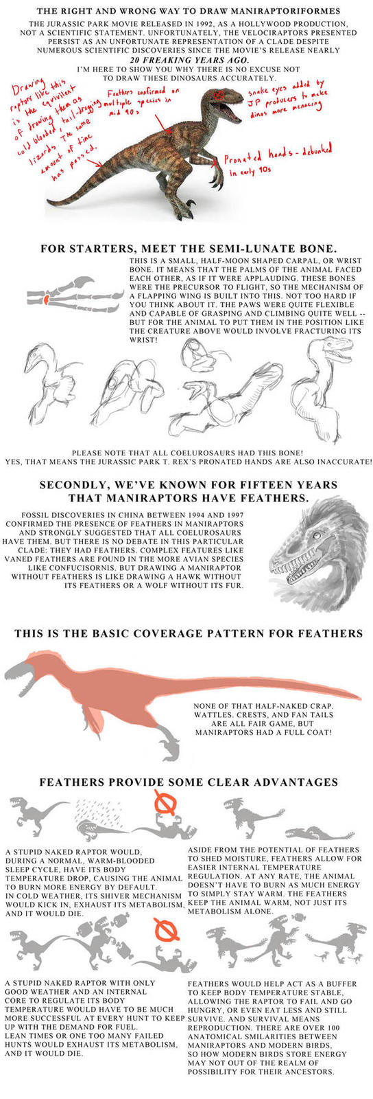 Raptor turtorial | Paleontology | Know Your Meme