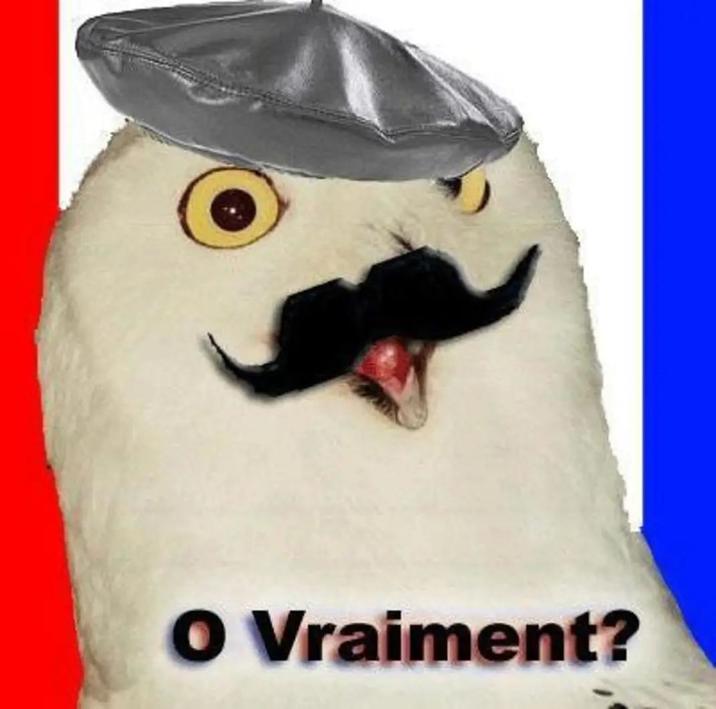 Oui oui | /r/dankmemes | Know Your Meme