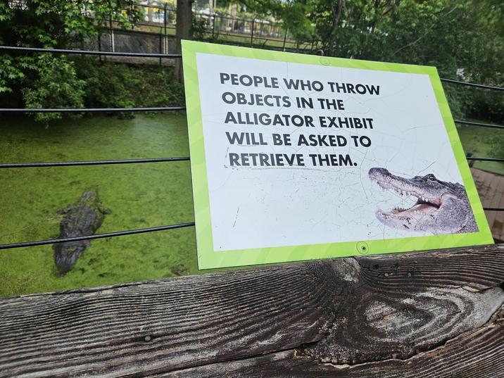 26 Interesting Images Observing The Small Moments In Life | Know Your Meme