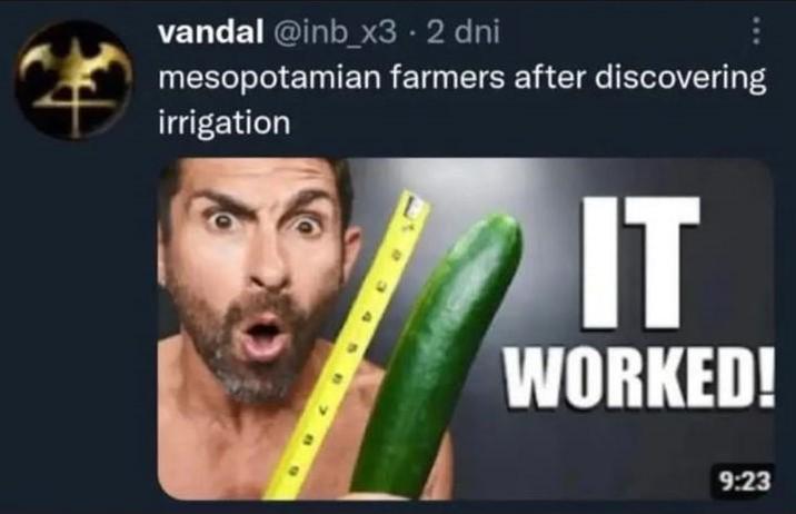 Mesopotamian farmers after discovering irrigation | History Memes ...