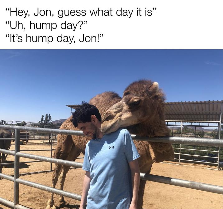 24 Workday Memes To Get You Over This 'Hump Day' | Know Your Meme