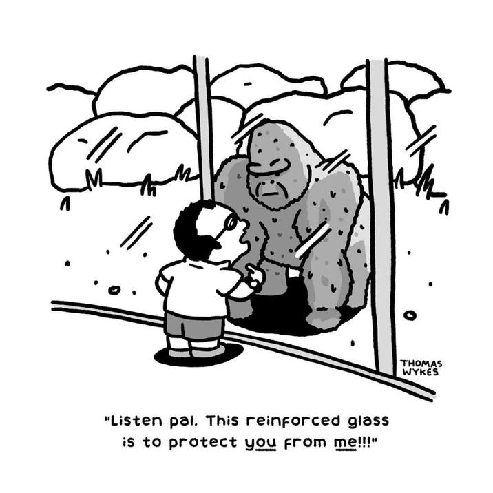 23 Engaging Webcomics Worth Your Attention | Know Your Meme