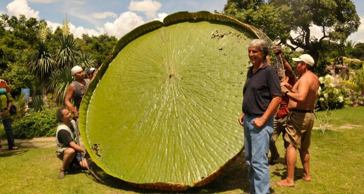 25 Photos Of Everyday Things That Are Way Too Big | Know Your Meme
