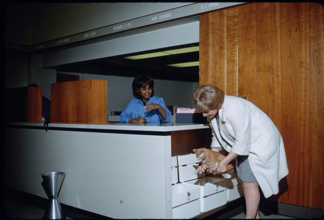 27 Photos Of Normal American Life Through The Years | Know Your Meme