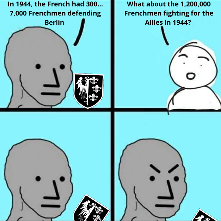 "More Frenchmen fought for the Nazi's" so they say's... | History Memes ...