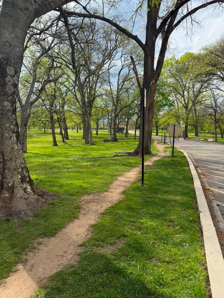 25 Paths That People Made All On Their Own | Know Your Meme