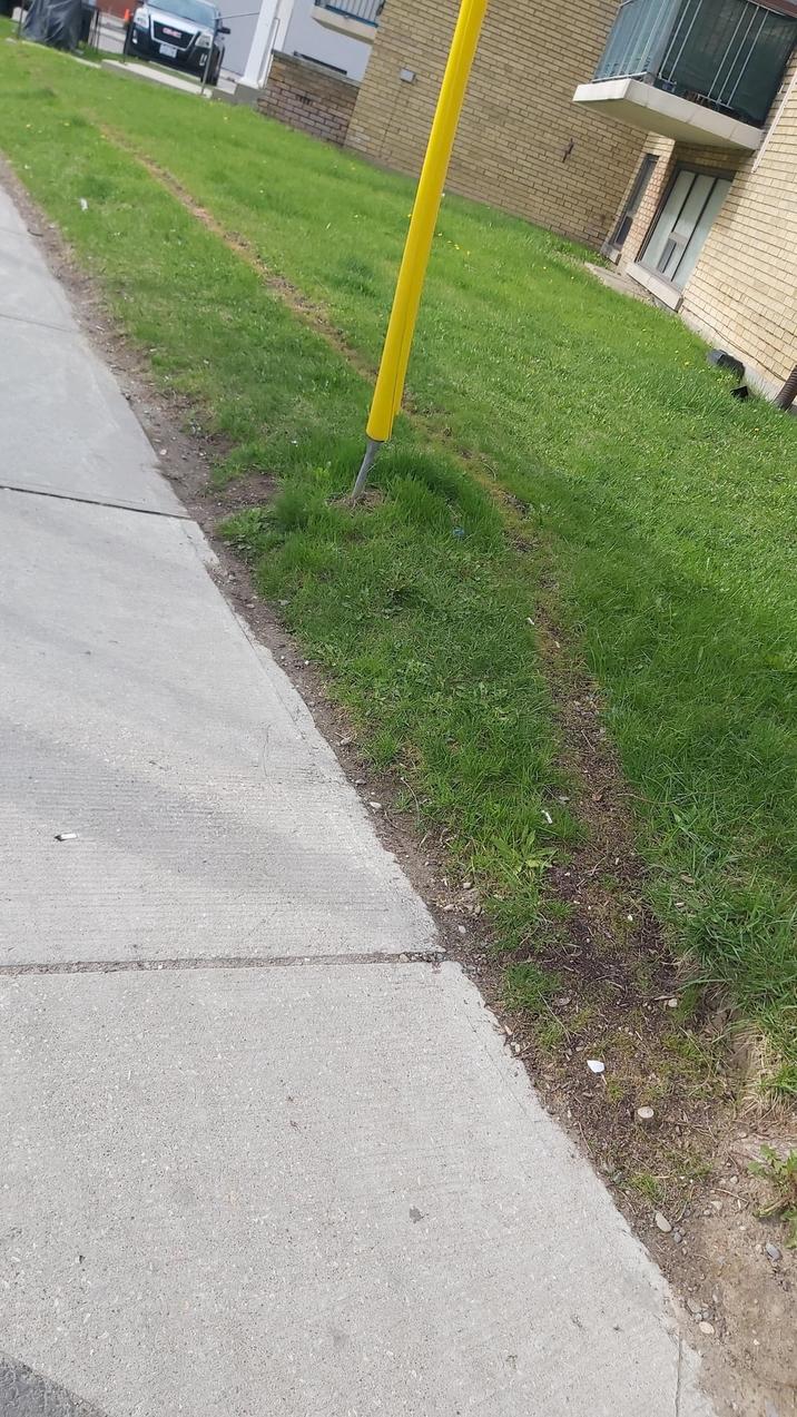 25 Paths That People Made All On Their Own | Know Your Meme