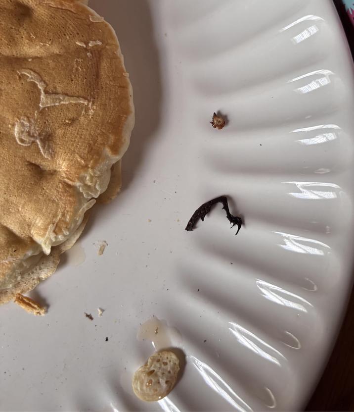 The way this burnt piece of pancake looks | Know Your Meme