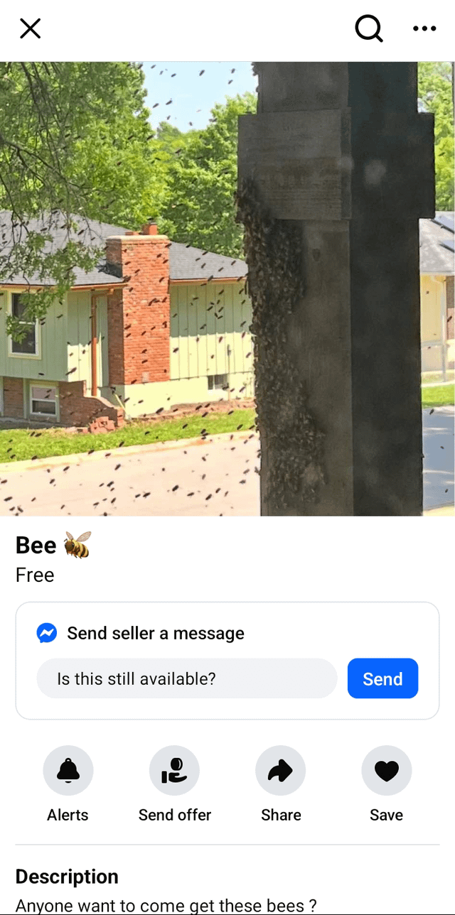 25 Odd Ads For Questionable Items | Know Your Meme