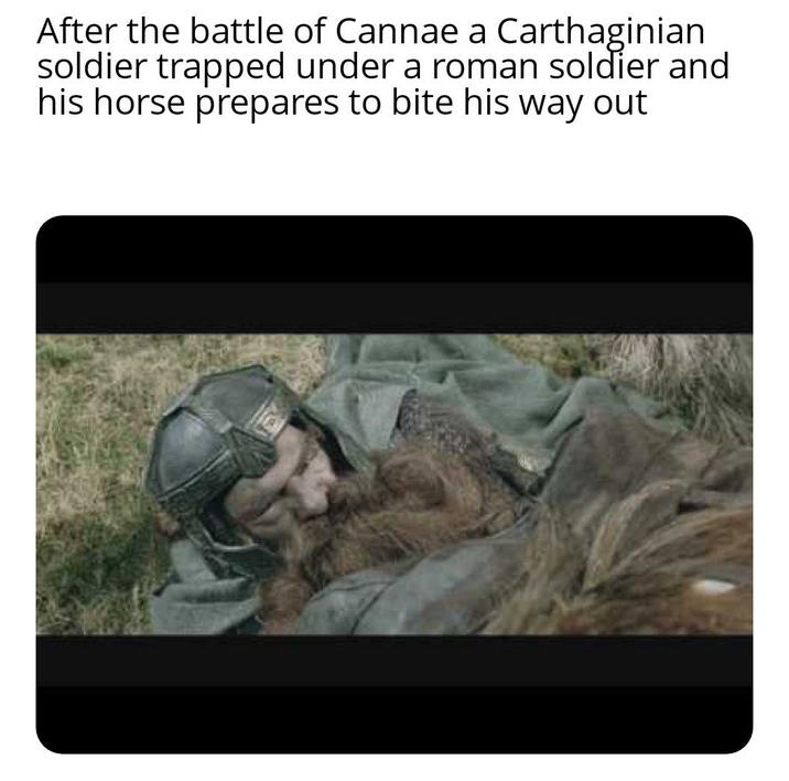What else a Carthaginian soldier could do? | History Memes | Know Your Meme