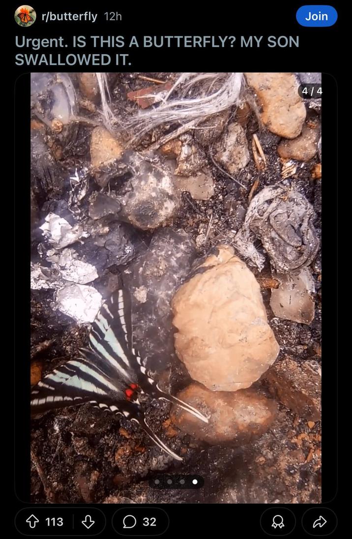 25 Ridiculous Children And The Things They Say | Know Your Meme