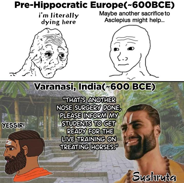 Hippocrates please save the western civilization | History Memes | Know ...