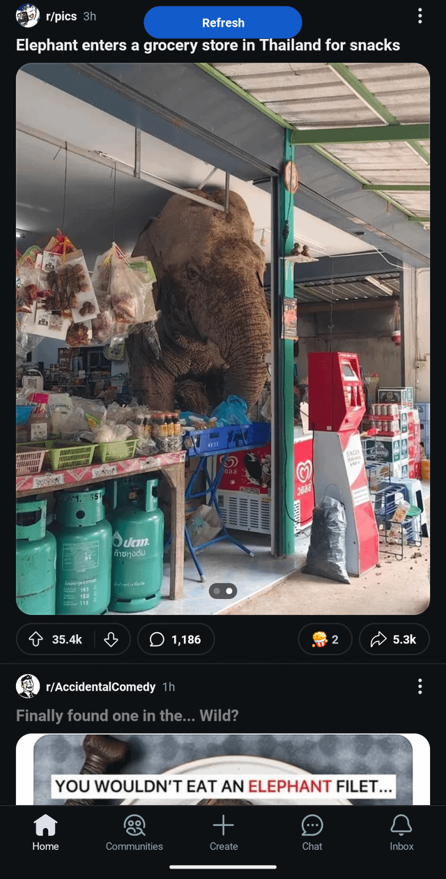 Sometimes Things Work Out Perfectly, Resulting In These 25 Moments Of ...
