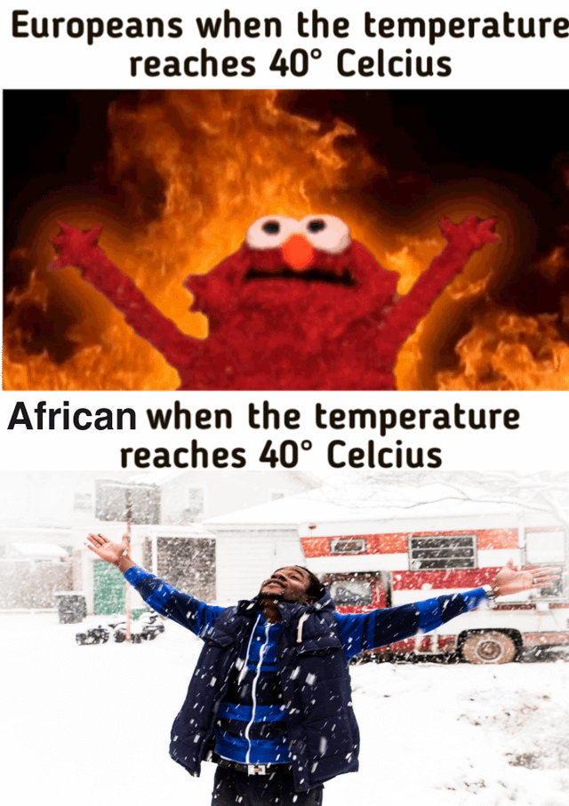 21 Memes That Perfectly Describes How We Feel During This June Heat ...