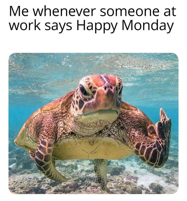 Everyone Dreads Monday, These 25 Memes Prove It | Know Your Meme