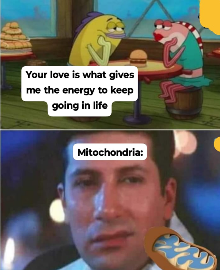 Science explains everything | /r/memes | Know Your Meme