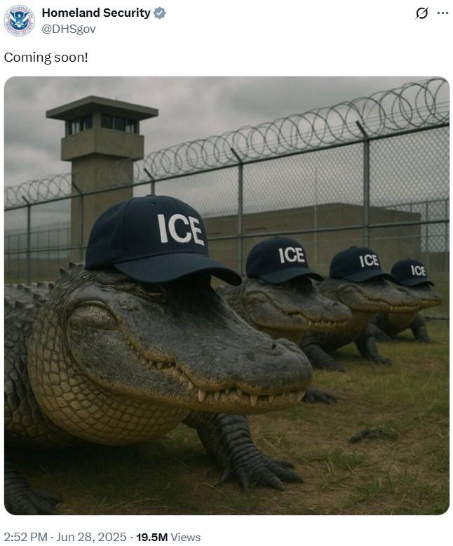 20 Memes About Florida's New 'Alligator Alcatraz' ICE Detention Center ...