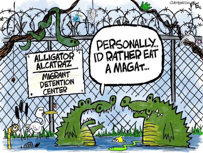 Alligator Alcatraz Cartoon by Clay Jones | Alligator Alcatraz | Know ...